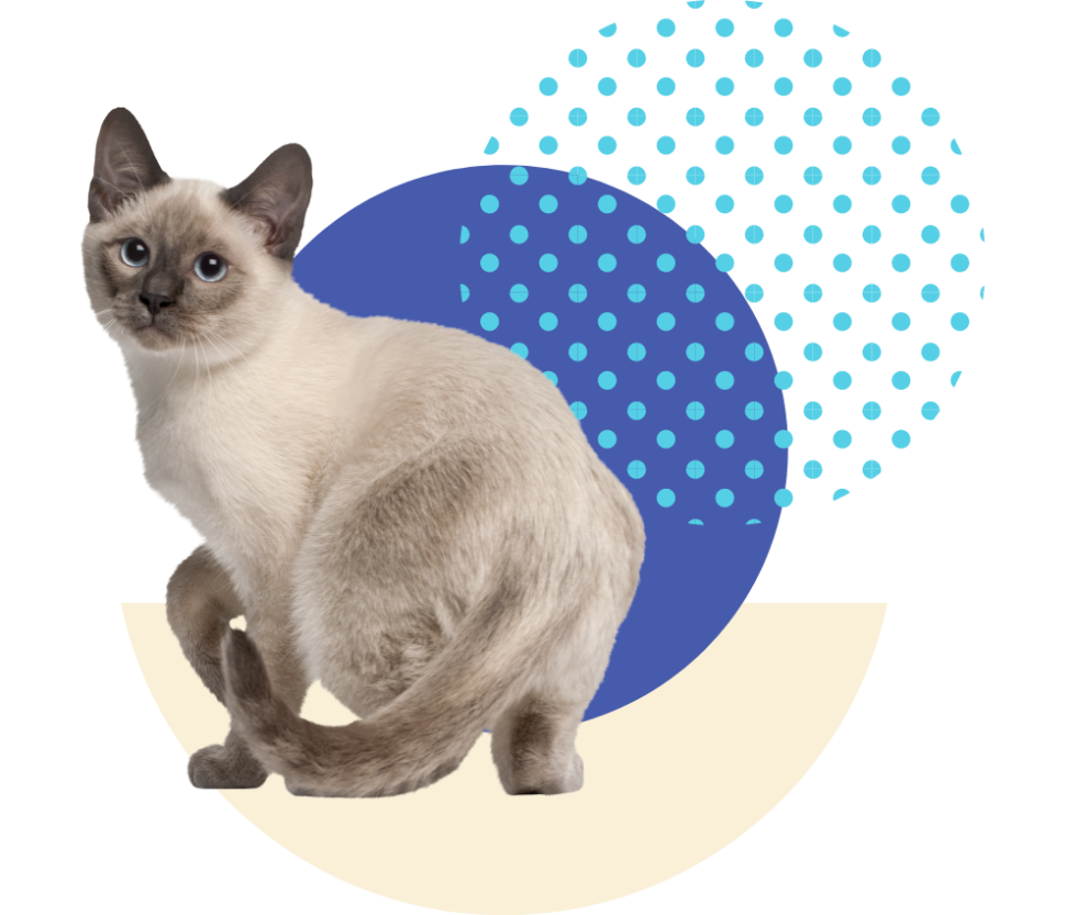 Data Deletion Request | Purrfurably Cats Veterinary Hospital